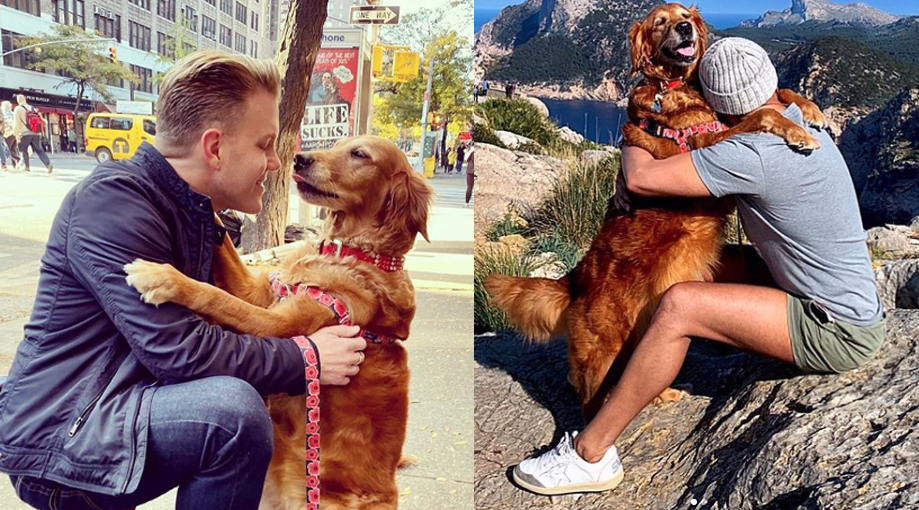Golden Retriever Loves Giving People Hugs On Her Daily Walks - SnapMyTales